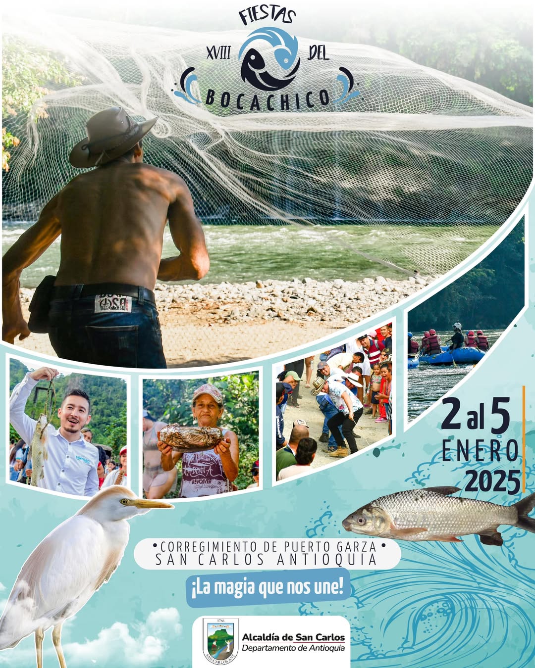 XVIII Fiestas del Bocachico 2025 - Infolocal - Comfenalco Antioquia
